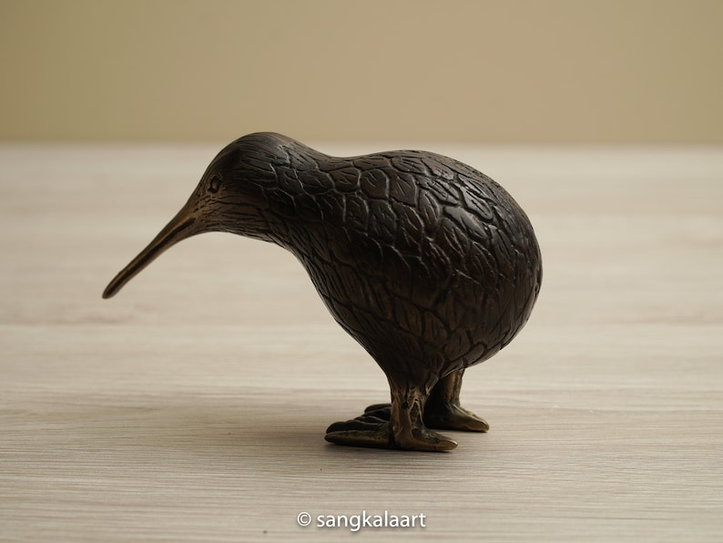 Bronze Kiwi Bird Sculpture, Bronze Statue, Handmade, Hand Carved, Ornament, Table Top, Home ...