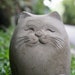 Stone Cat Sculpture, Stone Statue, Cat Figure, Cat Lover, Kitten ...