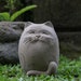 Stone Cat Sculpture, Stone Statue, Cat Figure, Cat Lover, Kitten ...