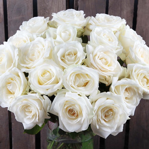 High Quality 10pcs French Ivory Roses Artificial Flowers White - Etsy