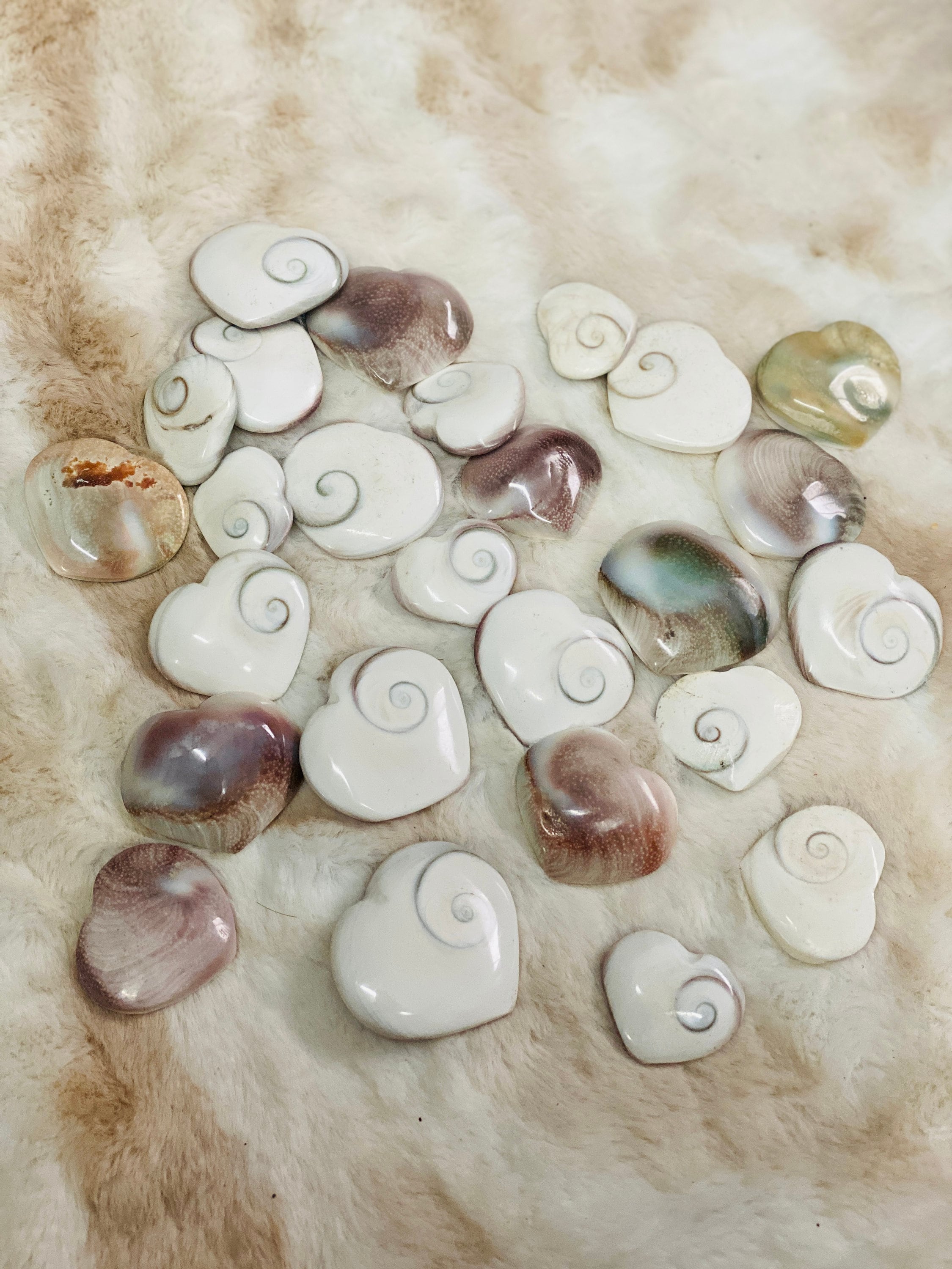 30-40mm Shiva Shell Heart 2pc crystal Heart Pocket Stone Healing ...