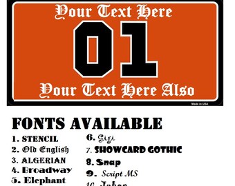 Scale Model Dukes of Hazzard General Lee Roscoe License Tag Plates - Etsy