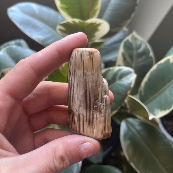 Petrified Wood Ring - Etsy