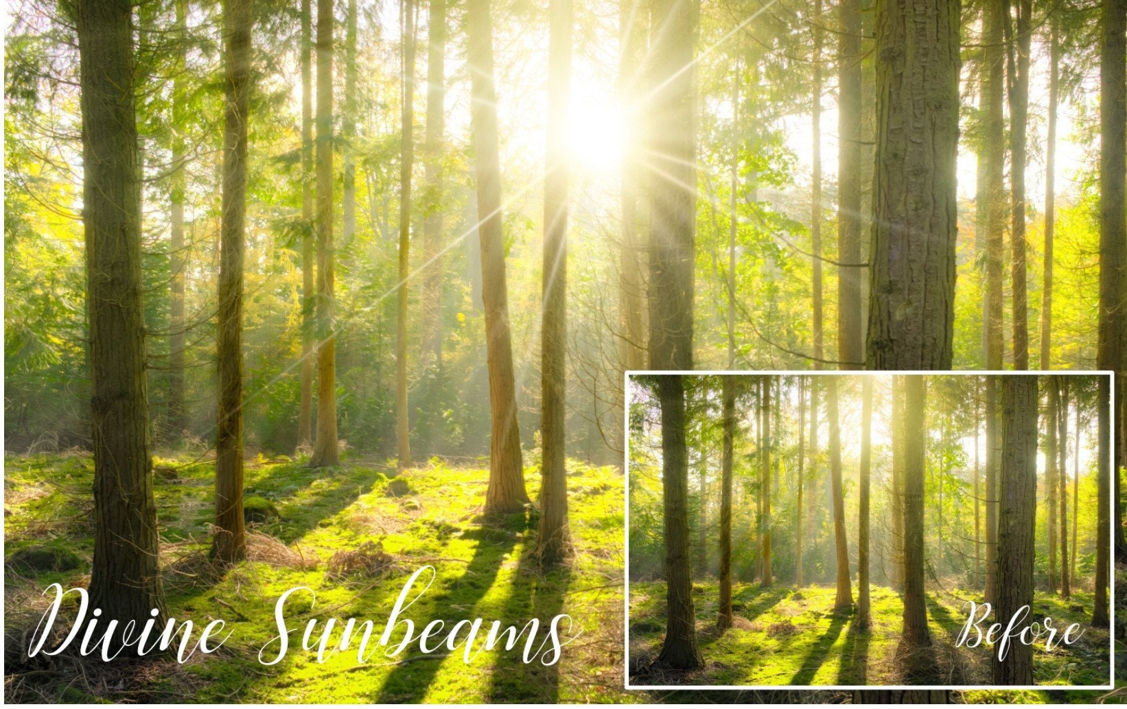 600 Weather Overlays Bundle Photoshop Creative Editing Tools - Etsy