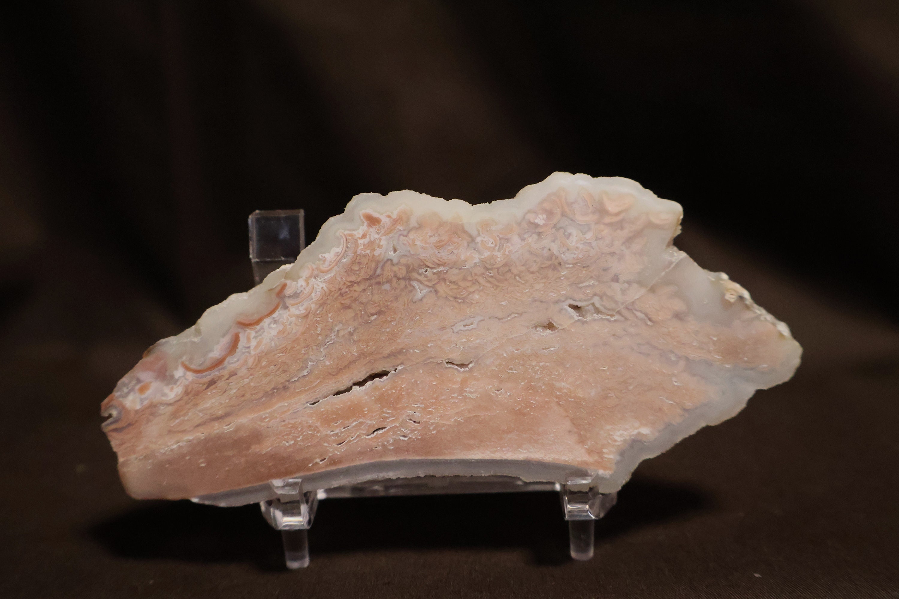 Youngite Slab - Etsy