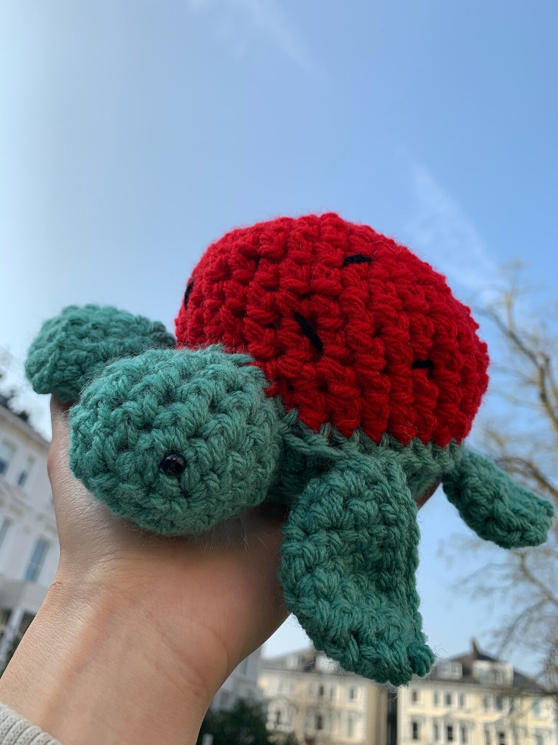 Fruit Turtle Pattern Bundle - Amigurumi Crochet - Etsy