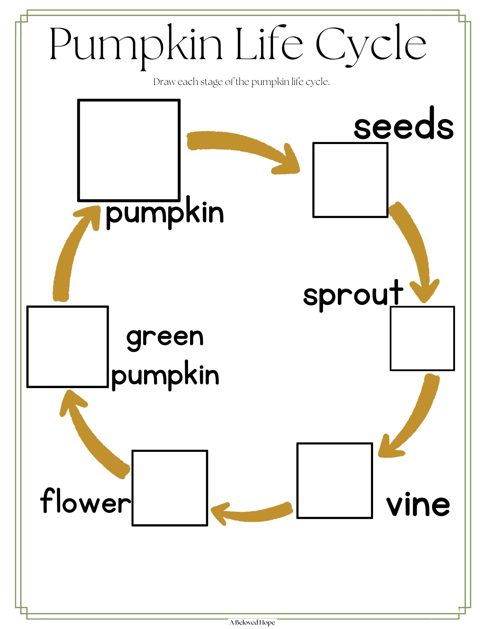 Pumpkin Unit Study Workbook / Pumpkin Worksheets / Parts of a Pumpkin ...
