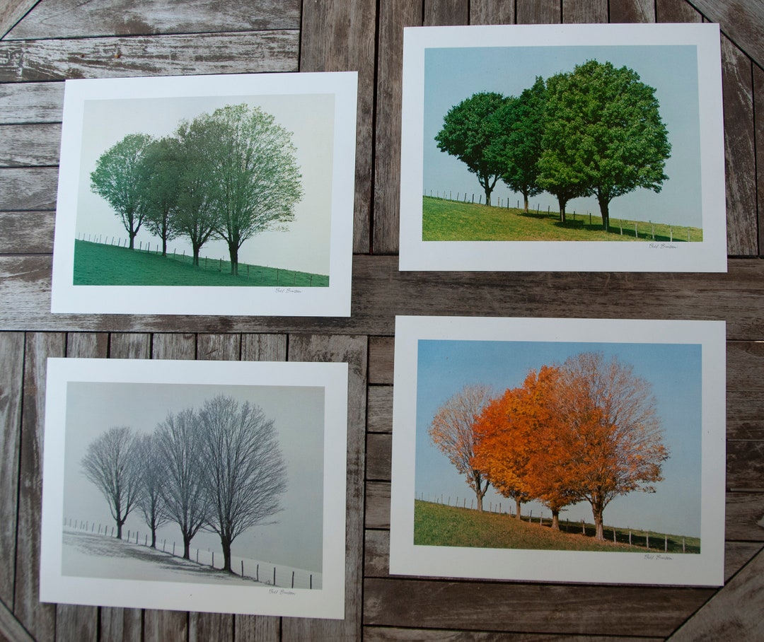 The Four Trees Four-season Prints - Etsy