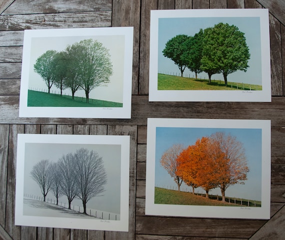 The Four Trees Four-season Prints - Etsy