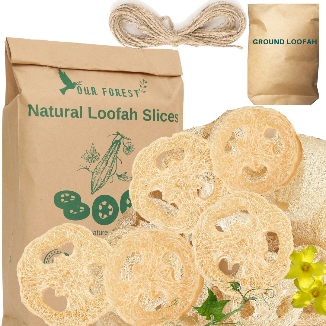 20 Pcs Loofah for Soap Making Loofah Slices 2-3 Inch Wide0.9 Inch Thick ...