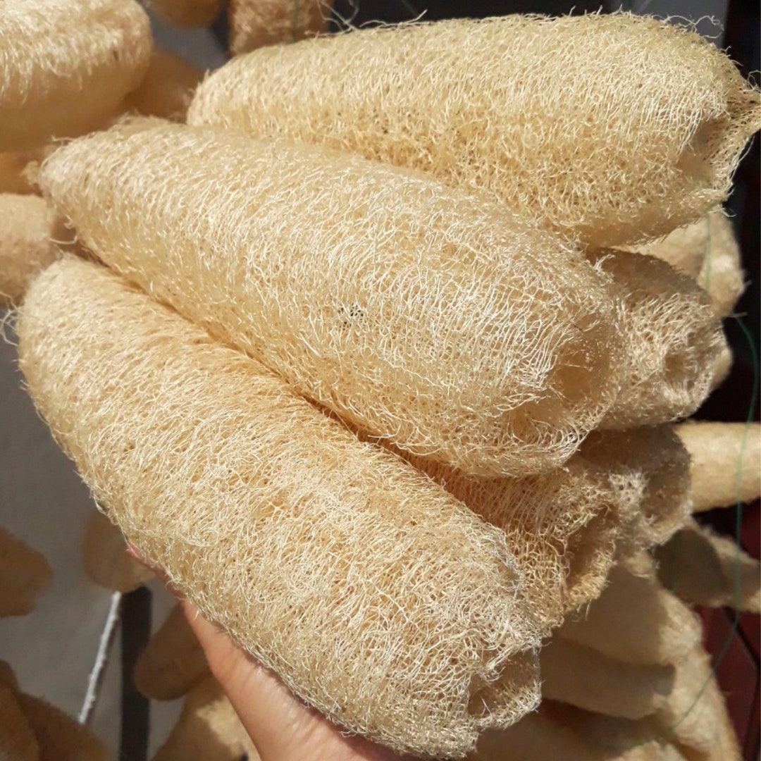 Whole Loofah 3 Pcs, Natural Loofah Sponge, Bulk Loofah , Dish Sponge ...