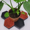 Pebble Tray for Plants (pre-washed Pebbles Included) - Etsy