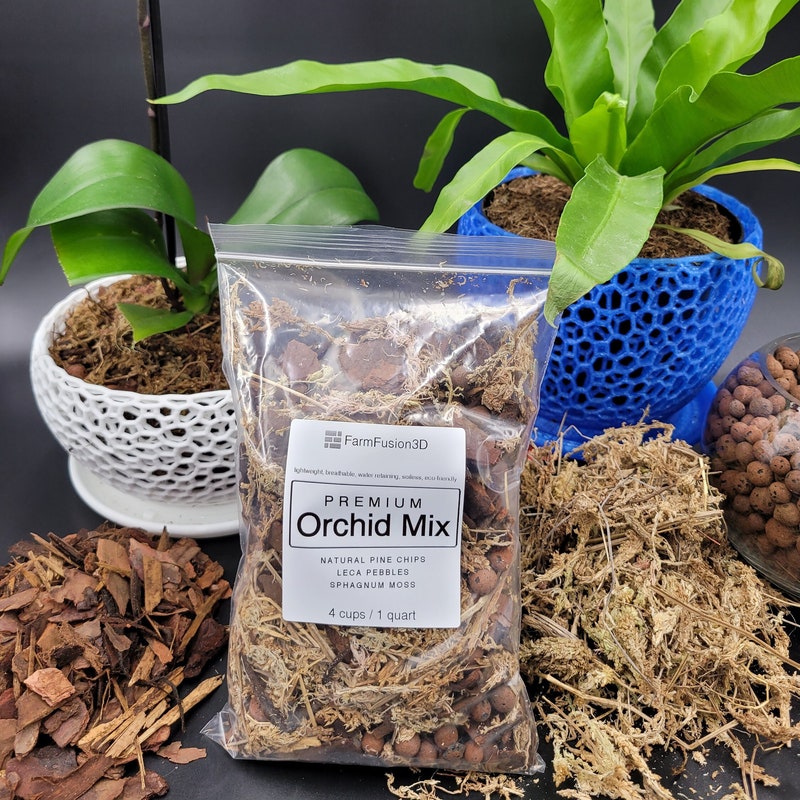 Live Moss for Potting - Etsy