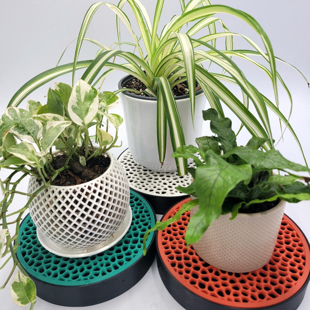 Round Humidity Tray for Plants 8-inch | Stylish and Functional Water ...