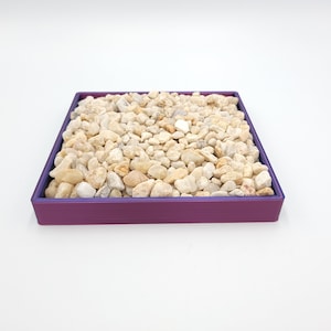 Pebble Tray for Plants (pre-washed Pebbles Included) - Etsy