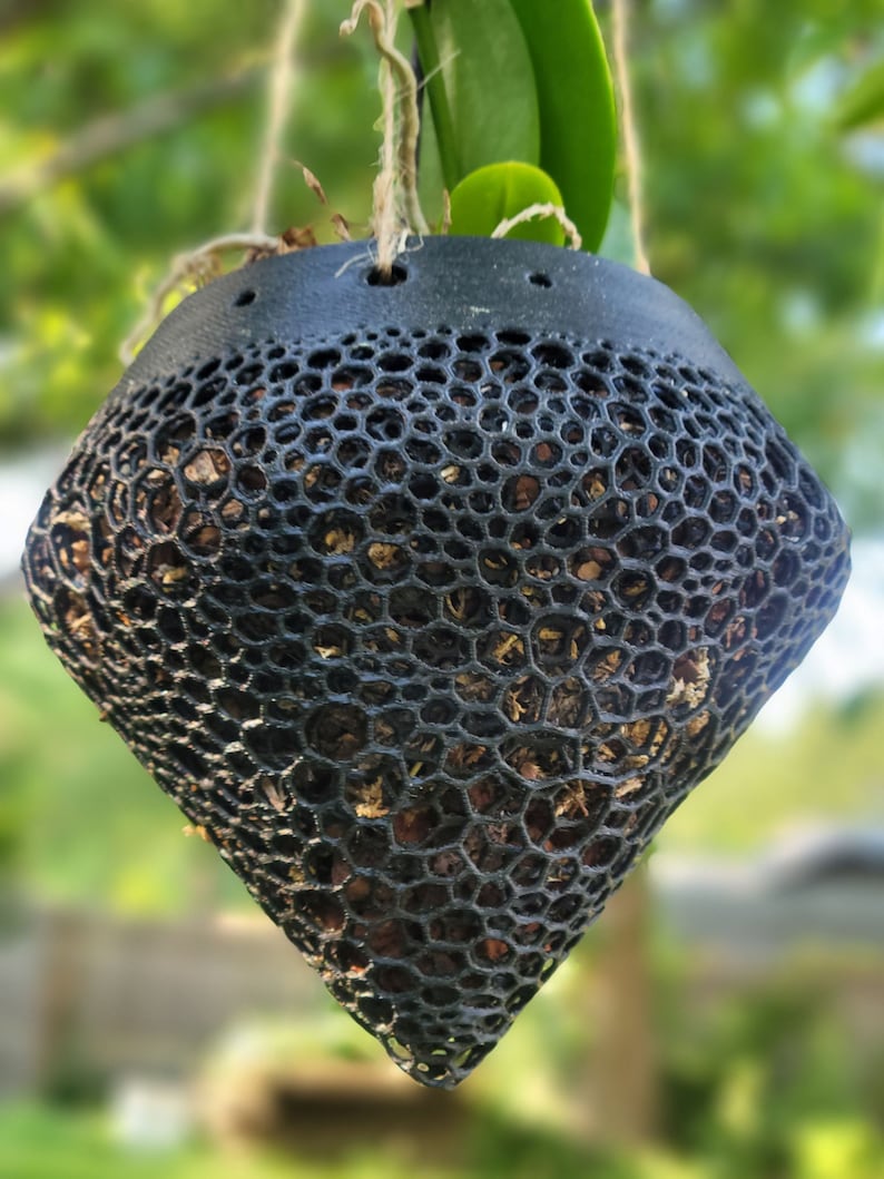 Hanging Orchid Pot | Etsy