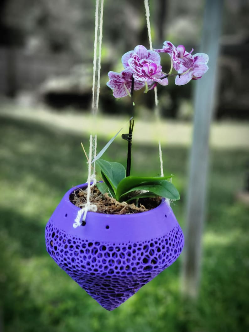 Hanging Orchid Pot | Etsy