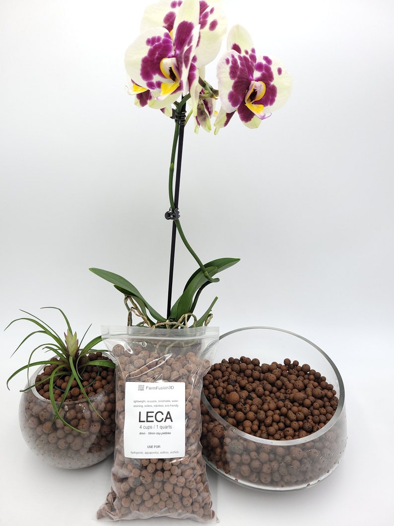Leca Balls - Expanded Clay Pebbles - 4 Cups / 1 Quart - Etsy