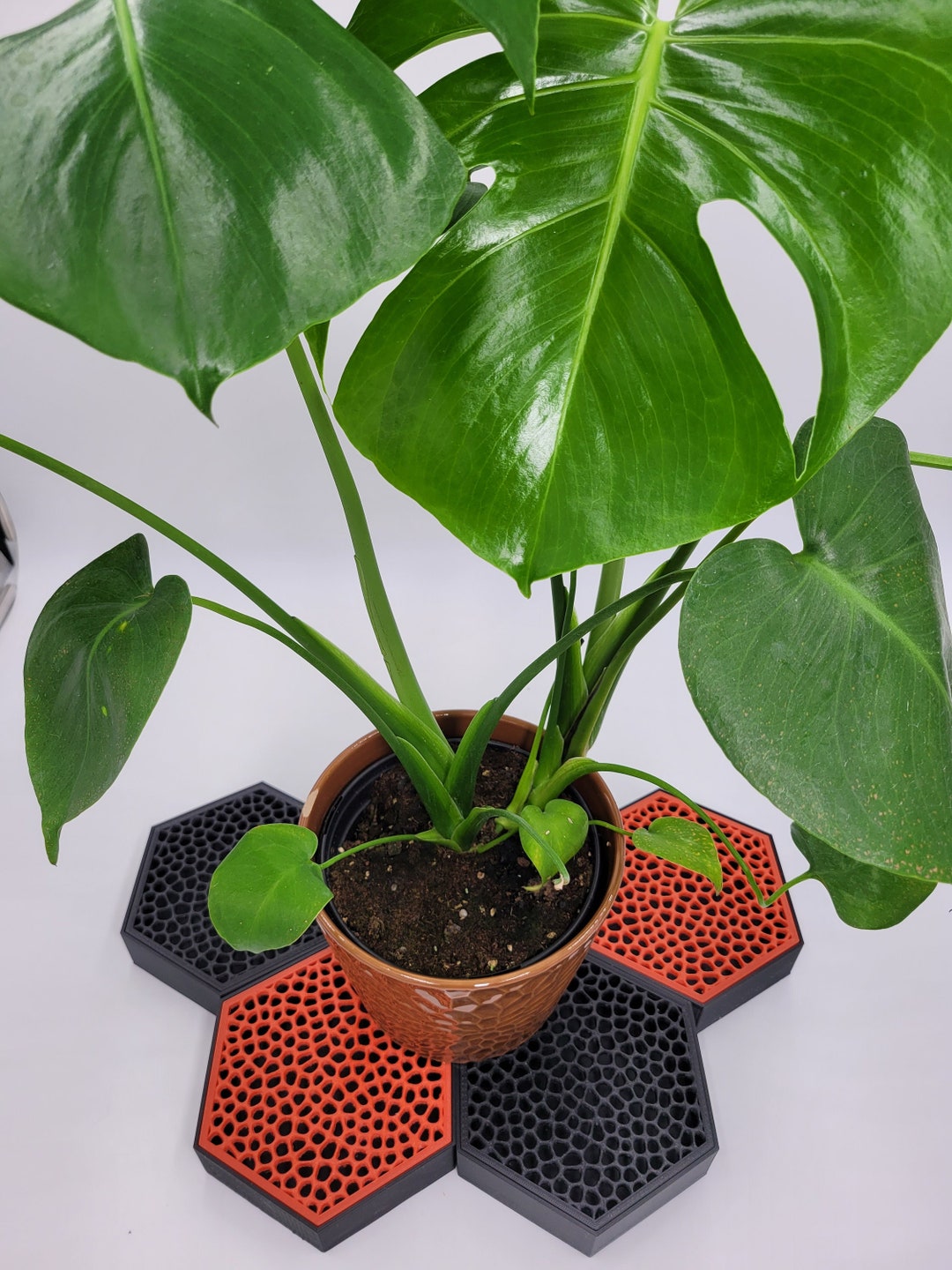 Modular Humidity Tray - Etsy