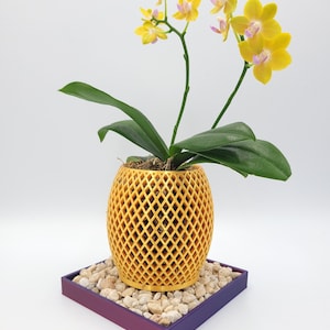 Pebble Tray for Plants (pre-washed Pebbles Included) - Etsy
