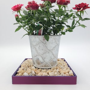 Pebble Tray for Plants (pre-washed Pebbles Included) - Etsy