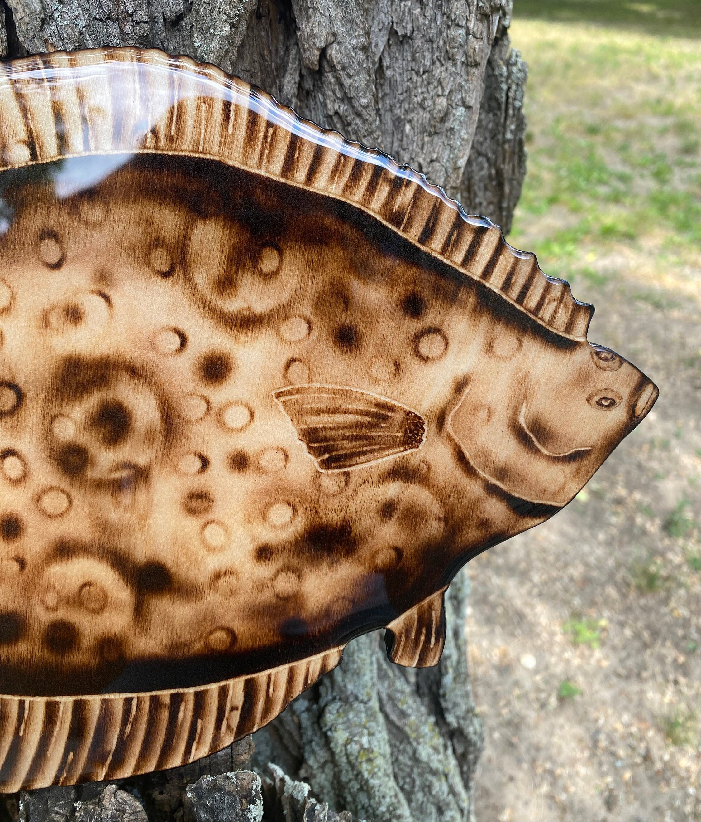 Winter Flounder Wall Art - Etsy
