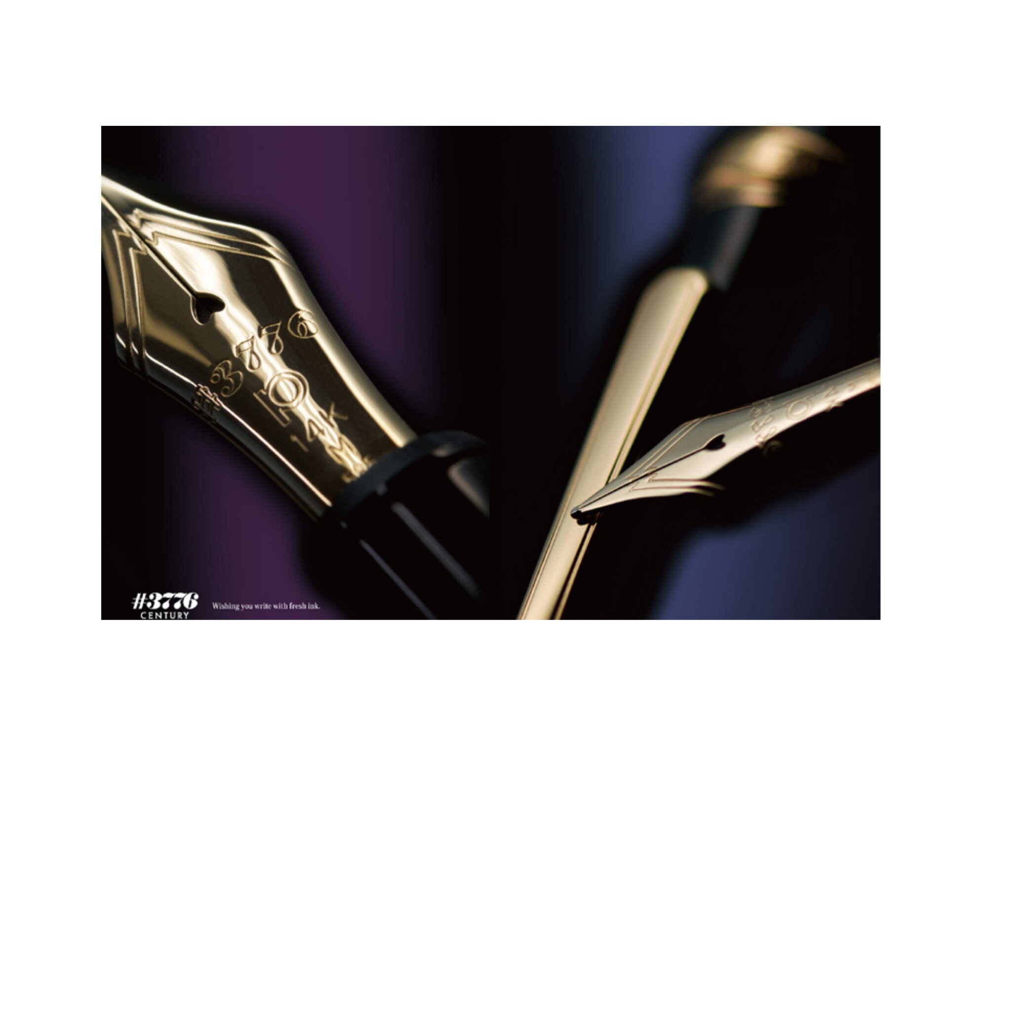 Platinum NEW 3776 CENTURY Fountain Pen Black With Gold Trim and 14k ...