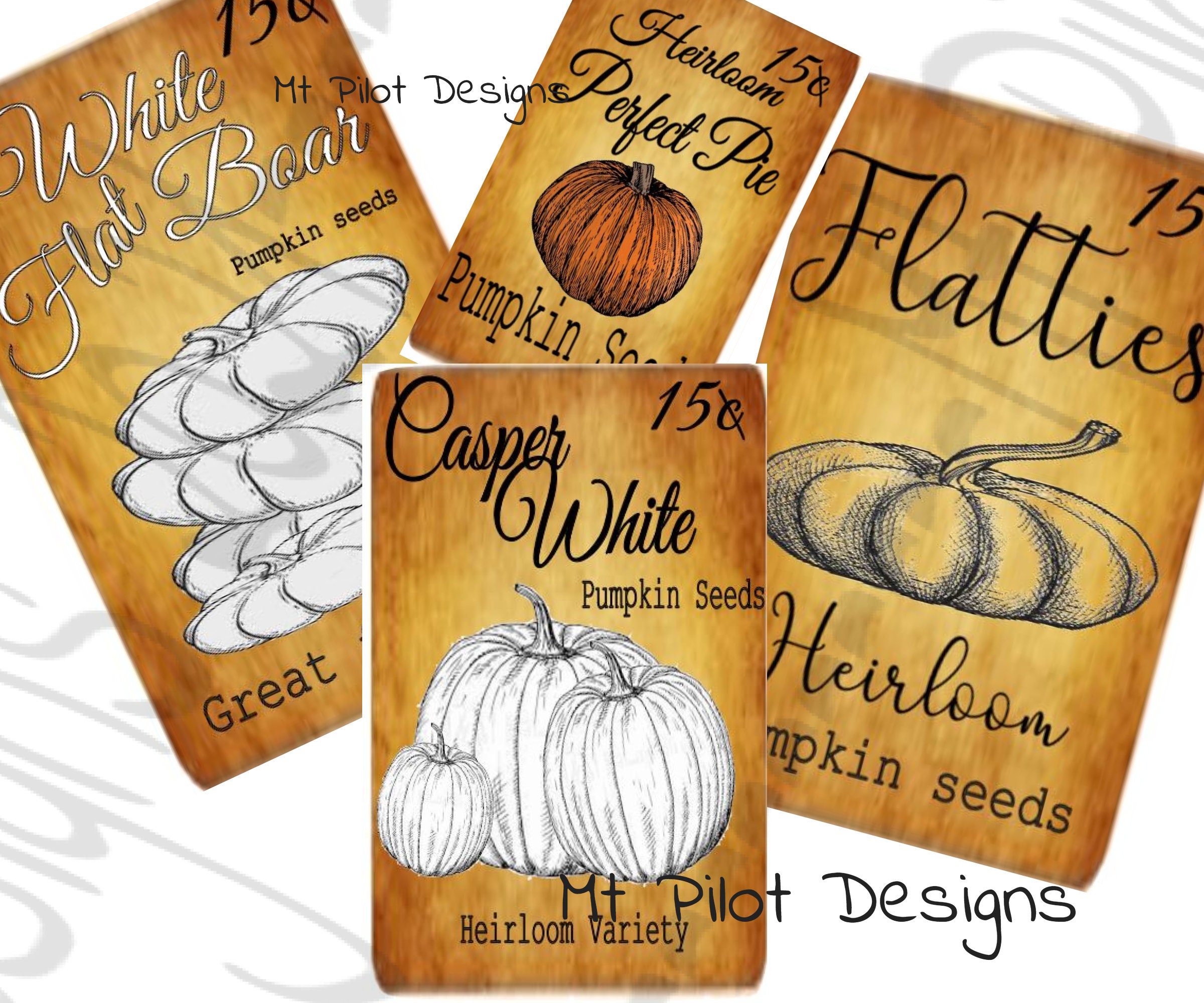 Printable Seed To Pumpkin