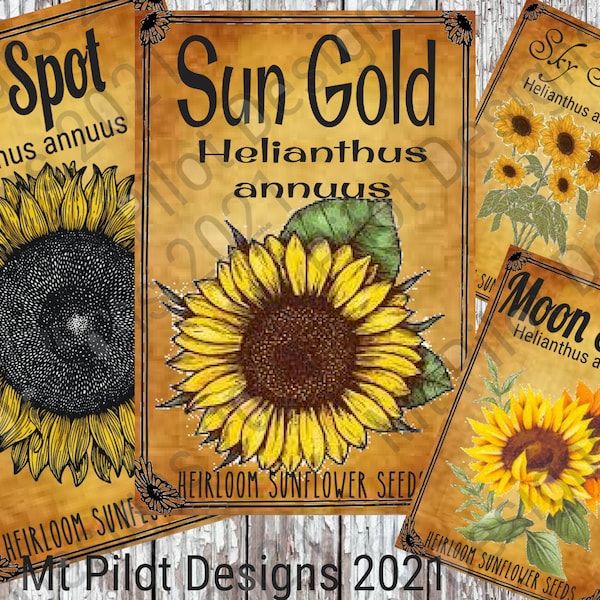 Sunflower Packets - Etsy