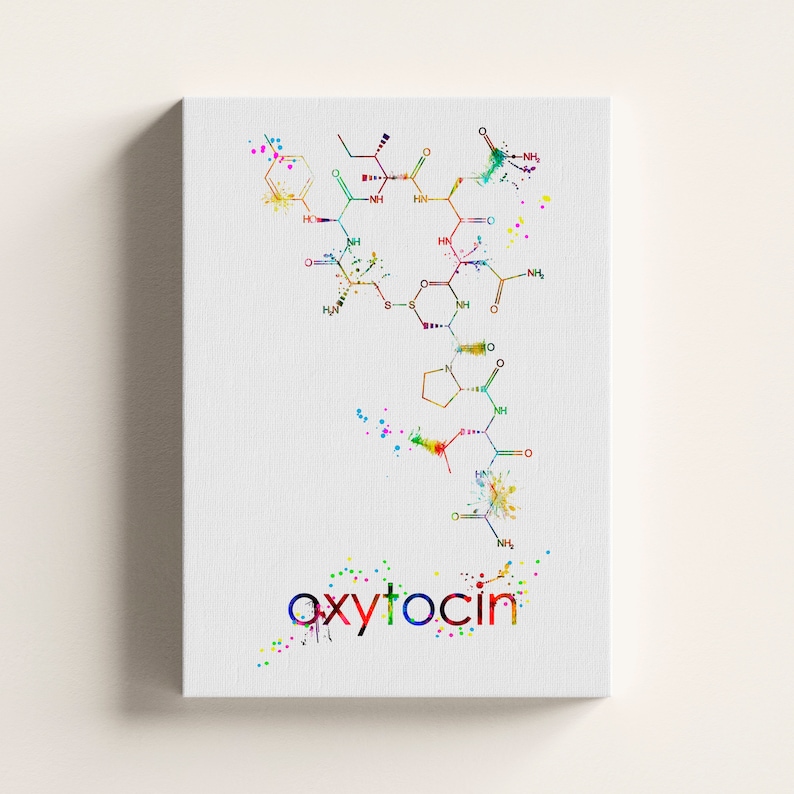 Oxytocin Molecule Watercolor Print: Love Hormone Canvas Art, Colorful ...