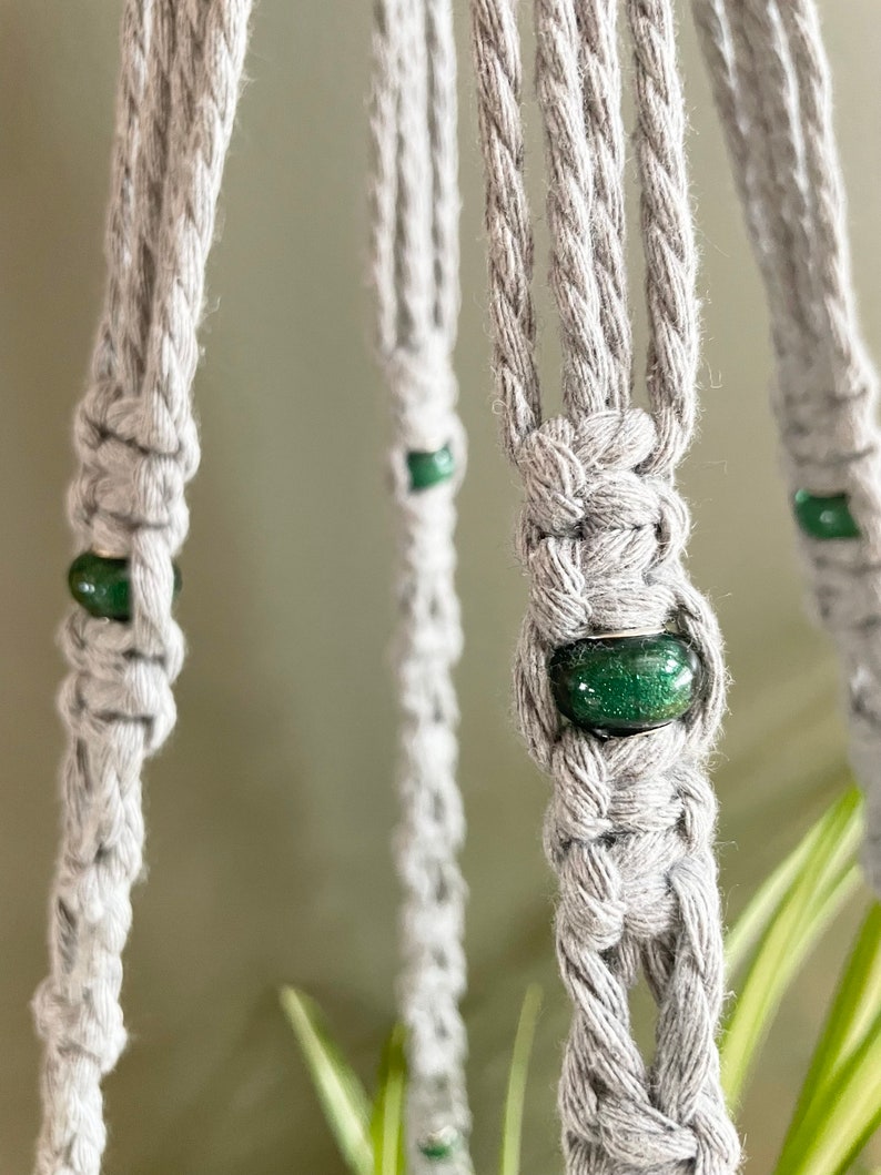 Dragon Plant Hanger - Etsy