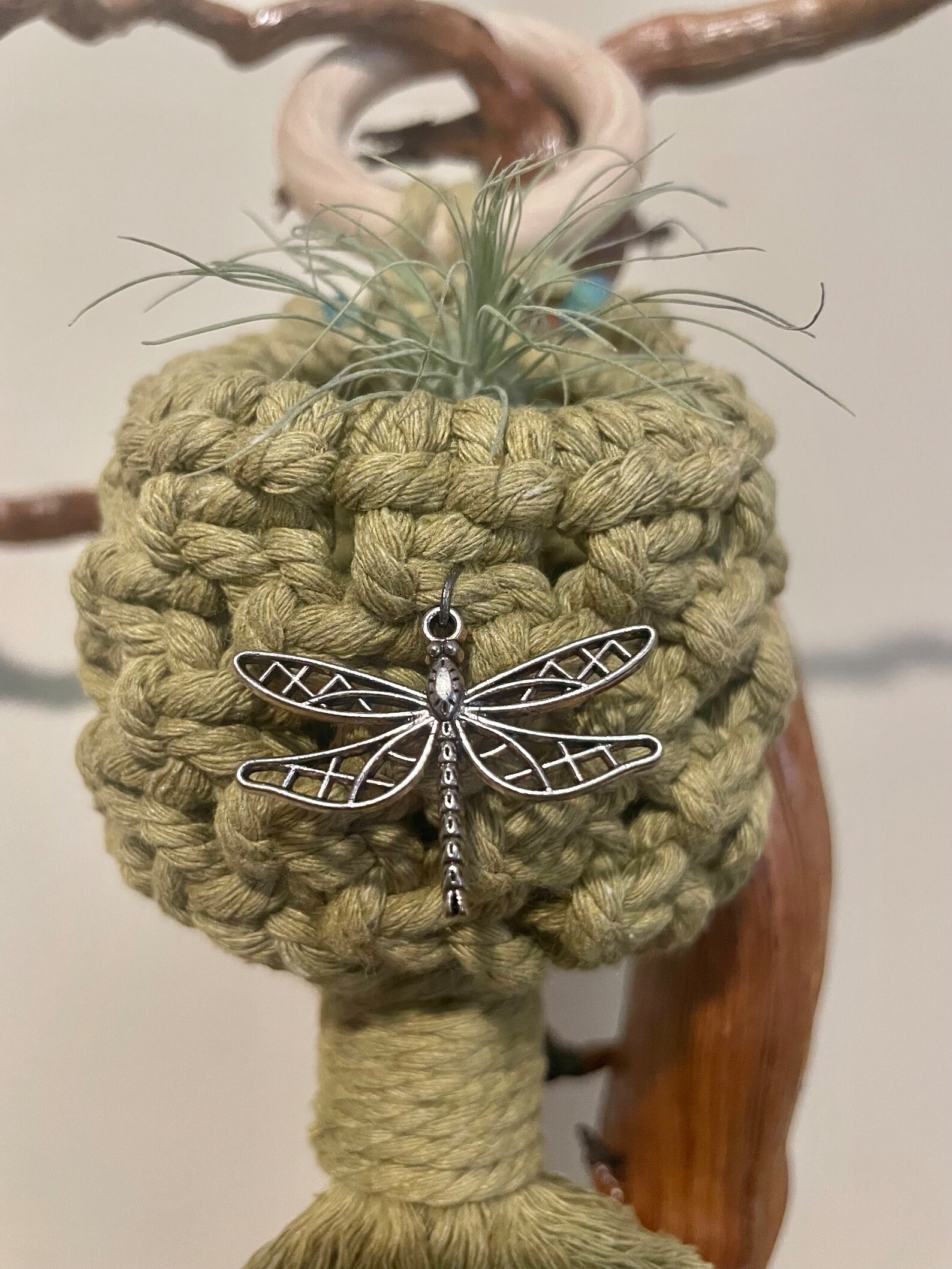Dragonfly Air Plant Pod Hanger - Etsy