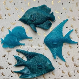 Tropical Reef Fish Silicone Mold 3D 2.5”long 3”wide .25” Depth - Etsy