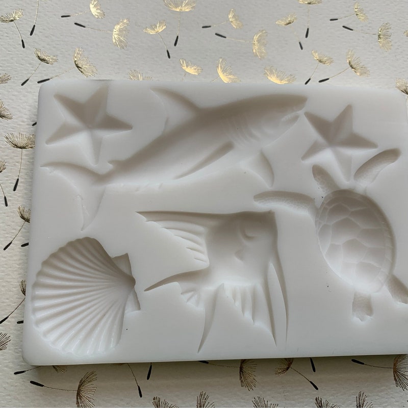 3d Seashell Silicone Mold - Etsy