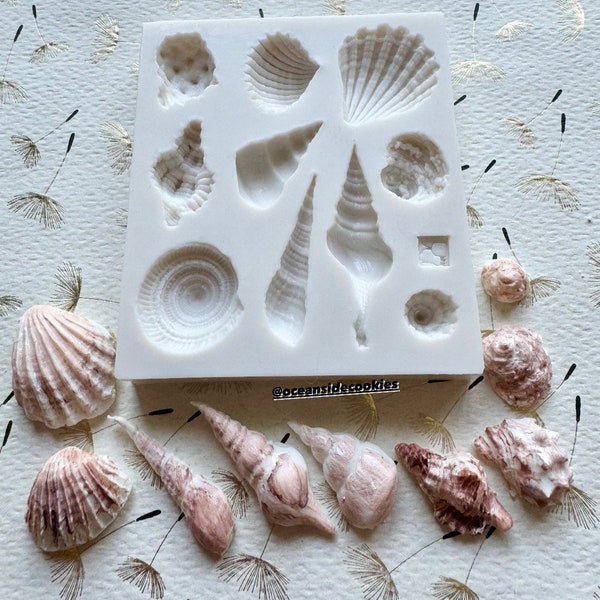 Sea Shell Mold - Etsy