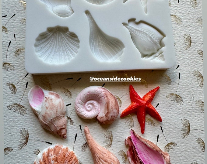 Sea Shells Silicone Mold 1”-1.5”.3”depth - Etsy
