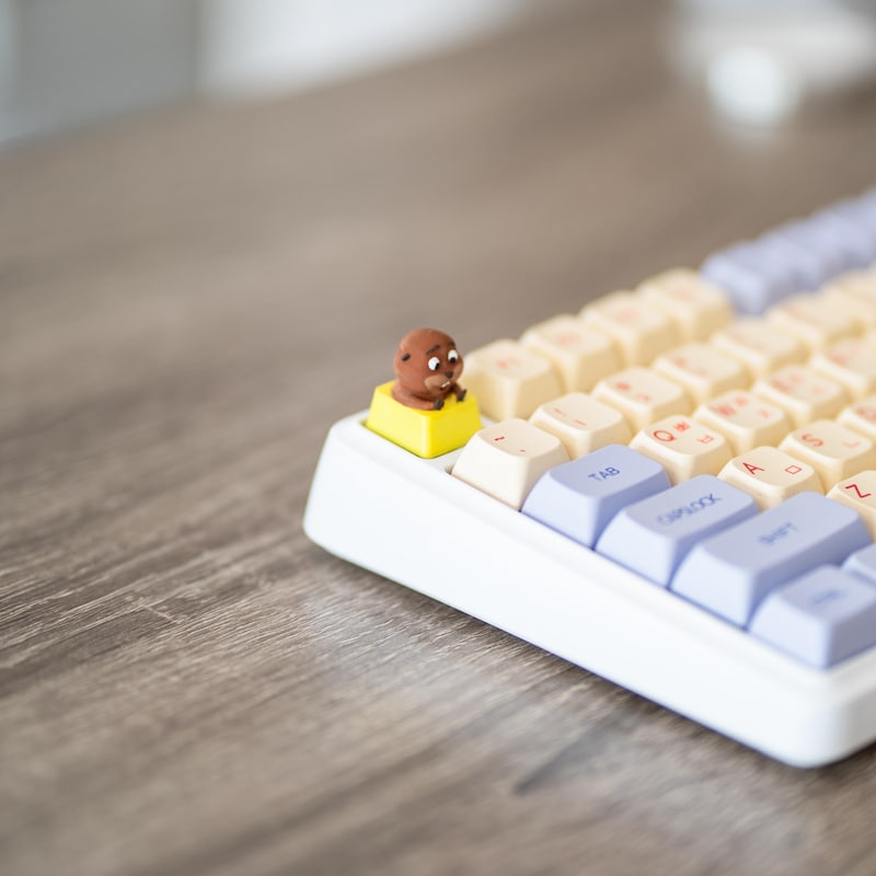 Lizard Meme Keyboard - Etsy