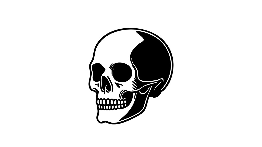 Skull SVG, PNG, EPS, Jpg Digital Download - Etsy