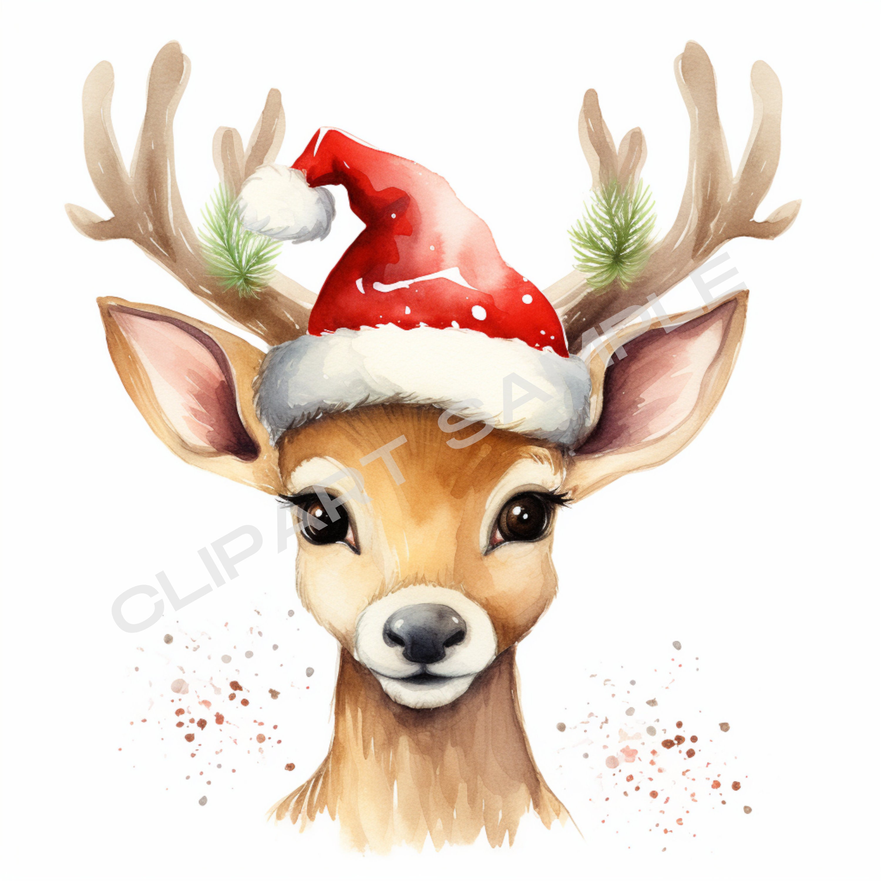 Christmas Reindeer Clipart 21 High Quality Pngs, Digital Download ...