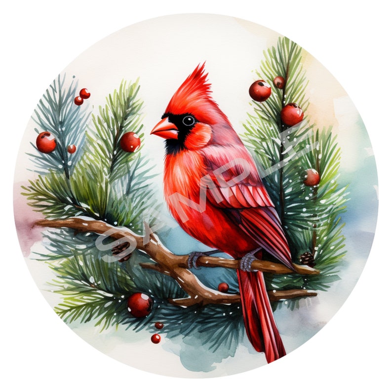 Christmas Red Cardinal Clipart 18 High Quality Pngs, Digital Download ...