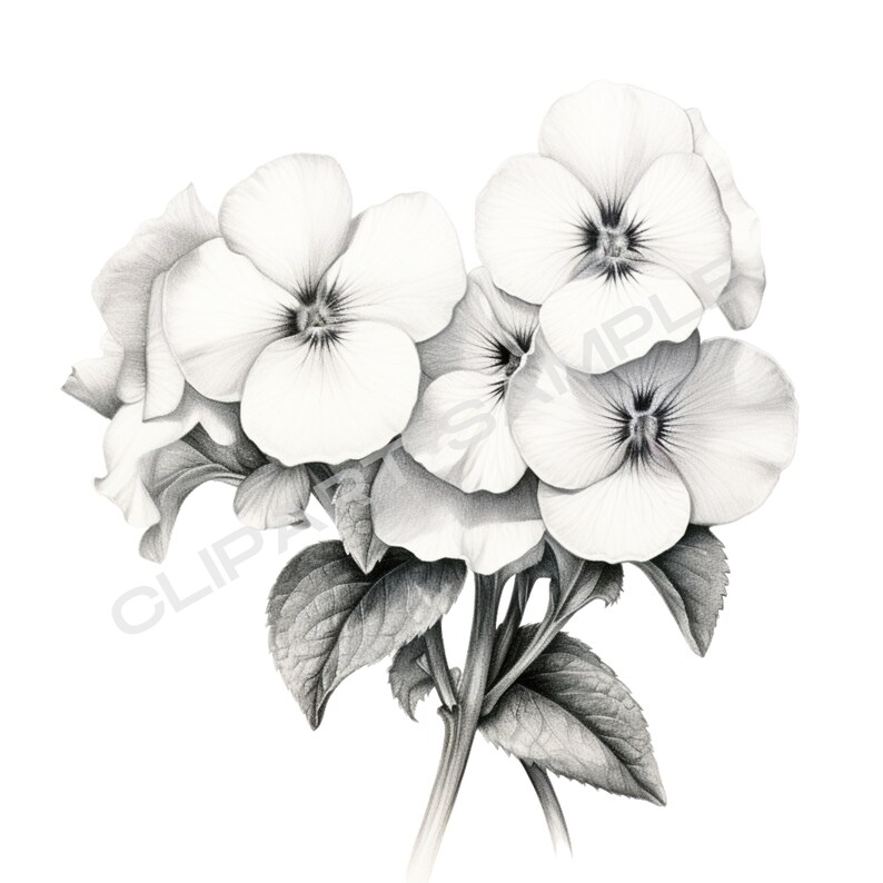 Birth Month February Watercolor Violets and Primroses Flowers Clipart ...