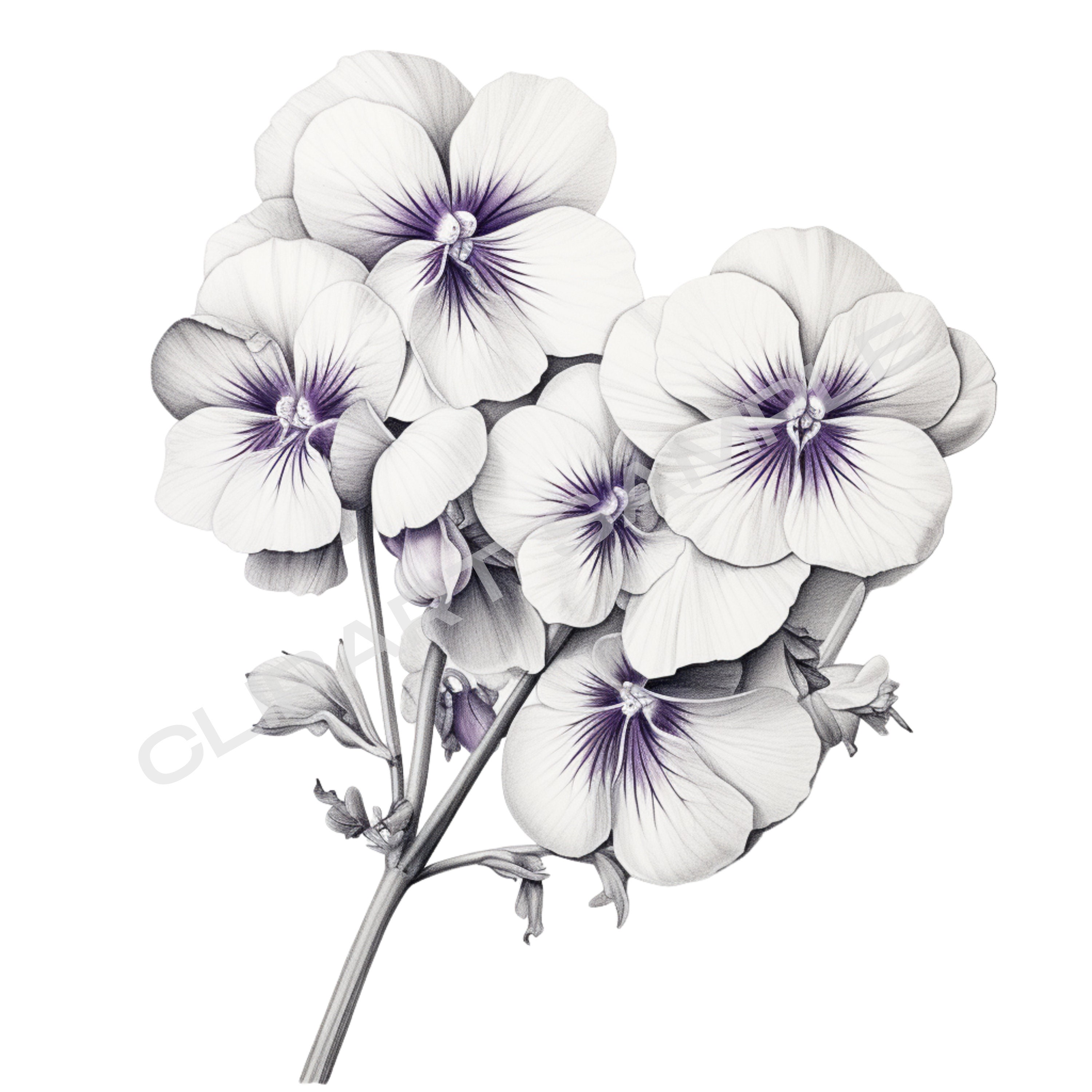 Birth Month February Watercolor Violets and Primroses Flowers Clipart ...