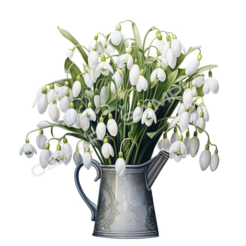 Birth Month January Watercolor Carnation and Snowdrop Flowers Clipart ...