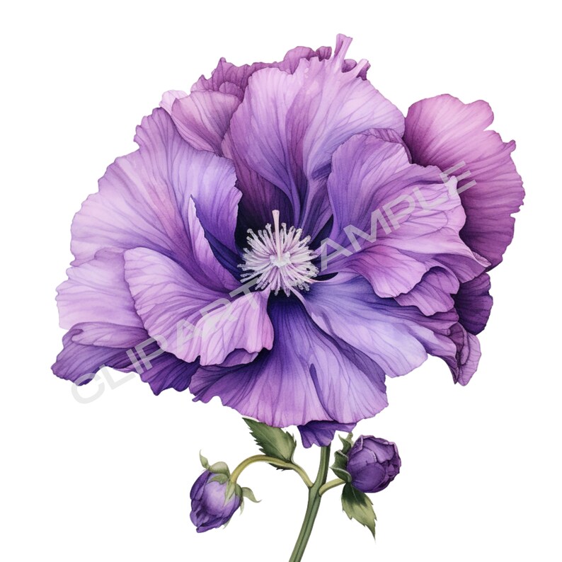 Birth Month February Watercolor Violets and Primroses Flowers Clipart ...