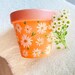 Handpainted Terracotta Plant Pot Indoor Outdoor Gift - Etsy