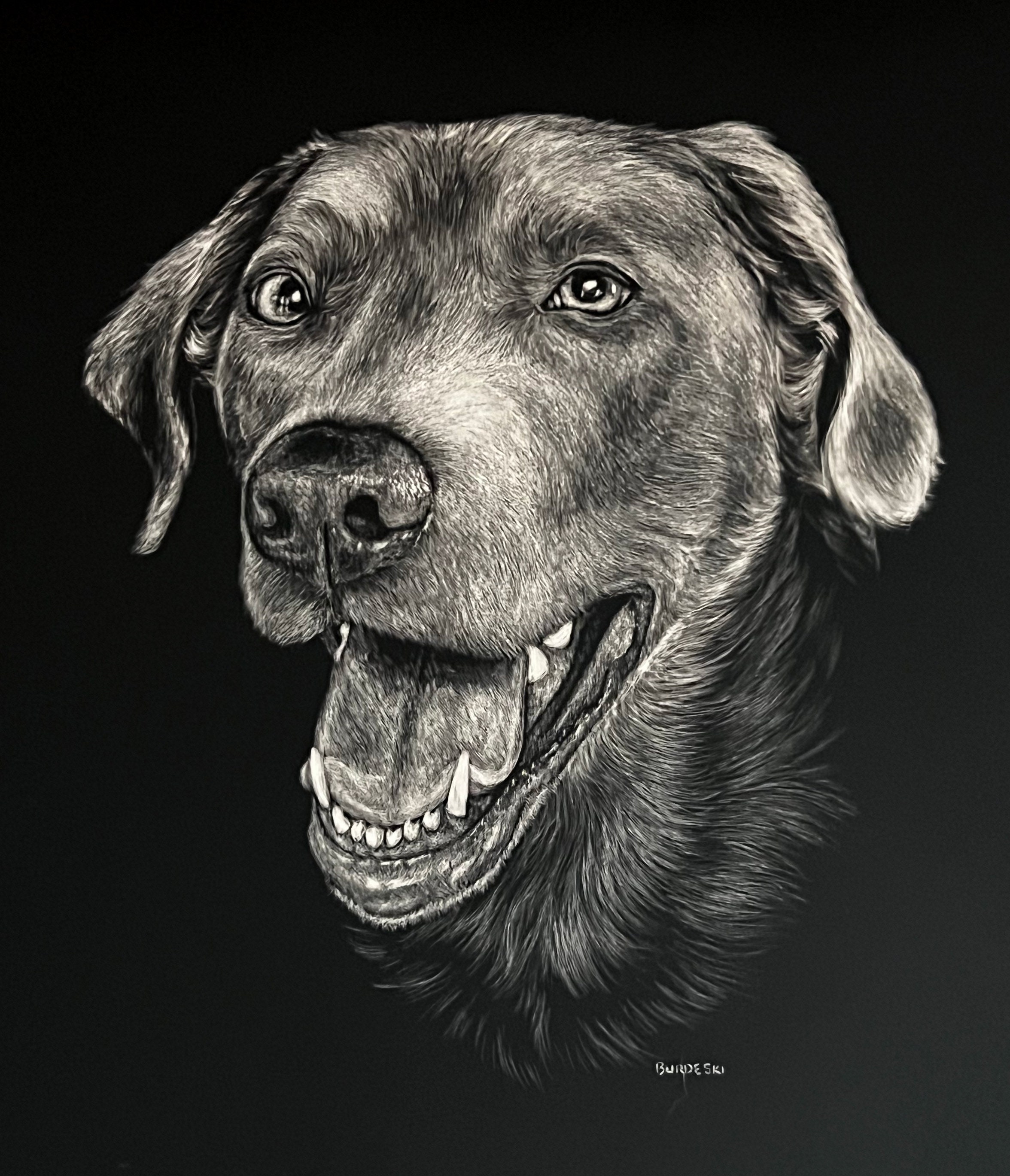 Commissioned Unique Scratchboard Pet Portraits - Etsy
