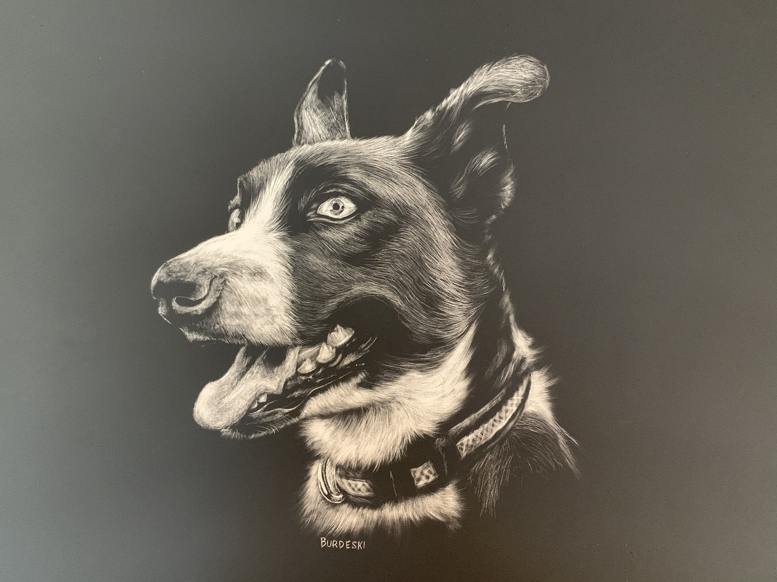 Commissioned Unique Scratchboard Pet Portraits - Etsy
