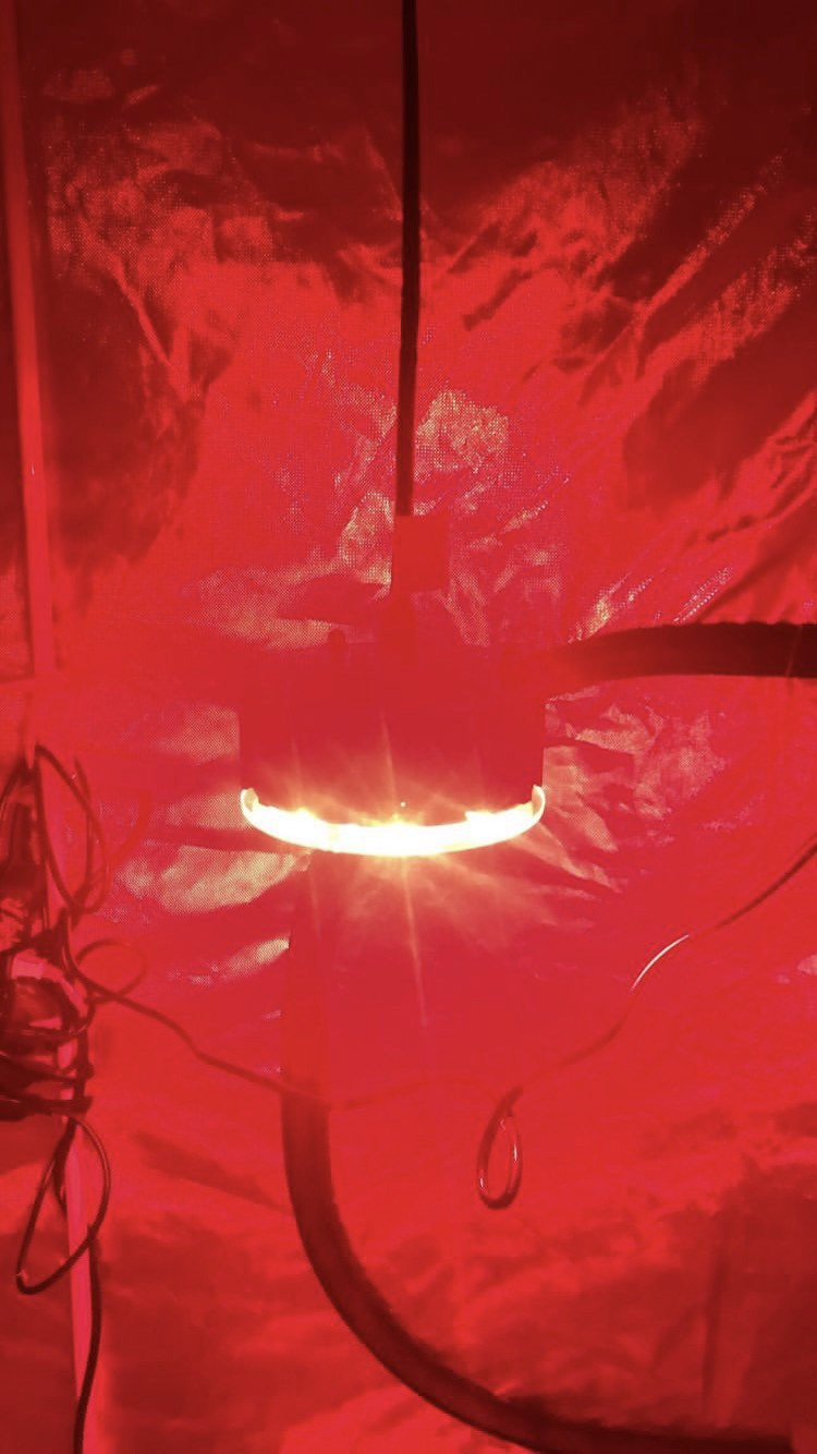 Grow Led Light Bloom Booster 620nm-630nm Deep Red 650nm-665nm Quantum ...