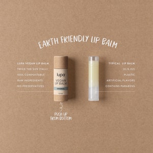 Vegan Lip Balm mini Organic Ingredients, Plastic-free, Biodegradable ...
