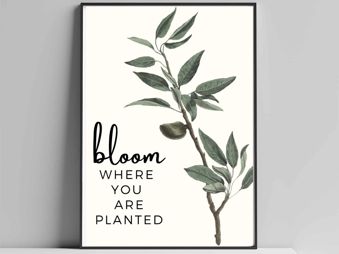 Bloom Where You Are Planted -- Printable Poster Digital Download - Etsy